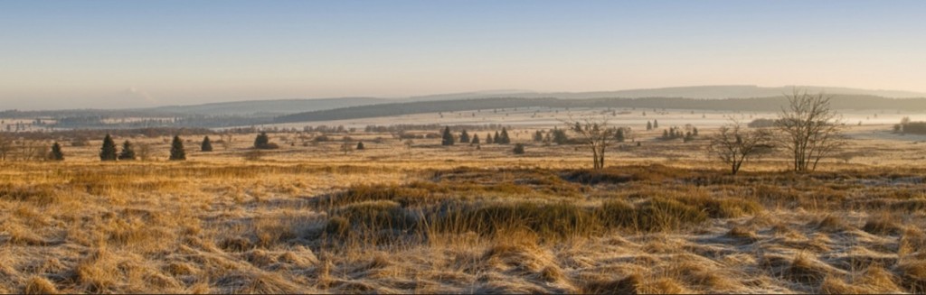 Elsenborn Ridge - MIA Project